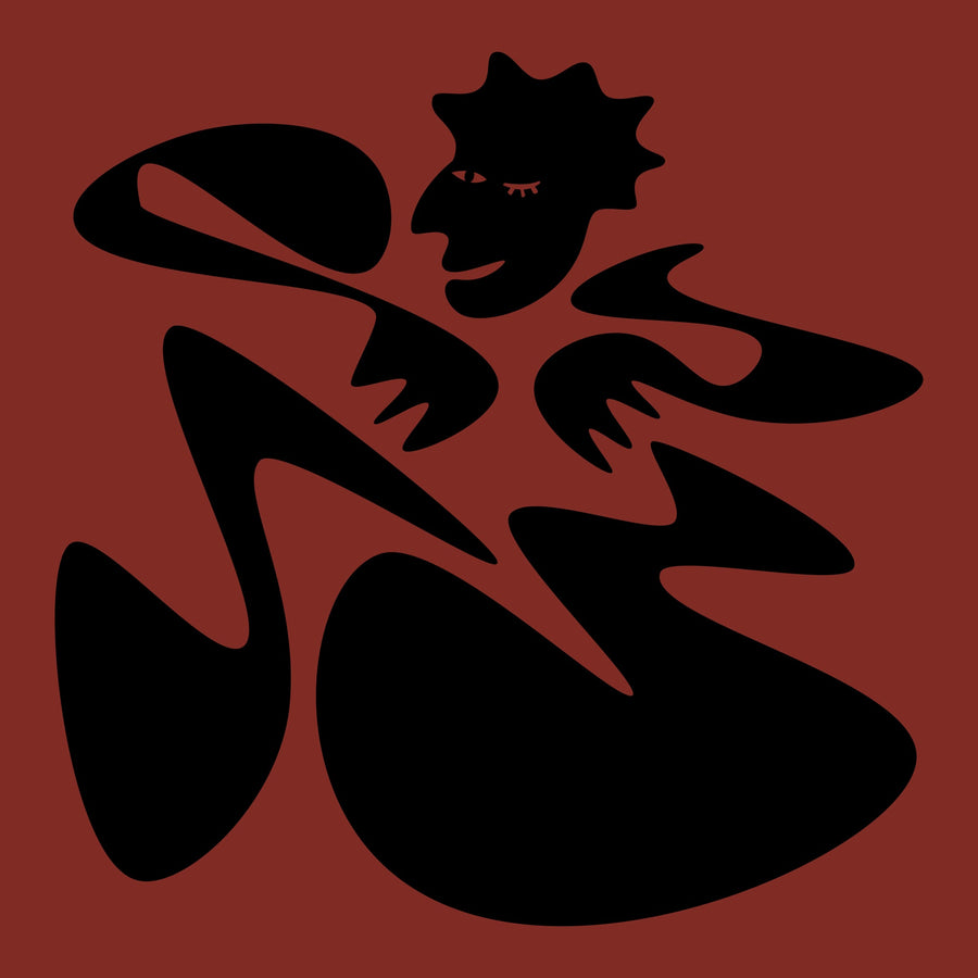 Kaytranada Ain't No Damn Way (Picture Disc Vinyl) - Vinyl ...